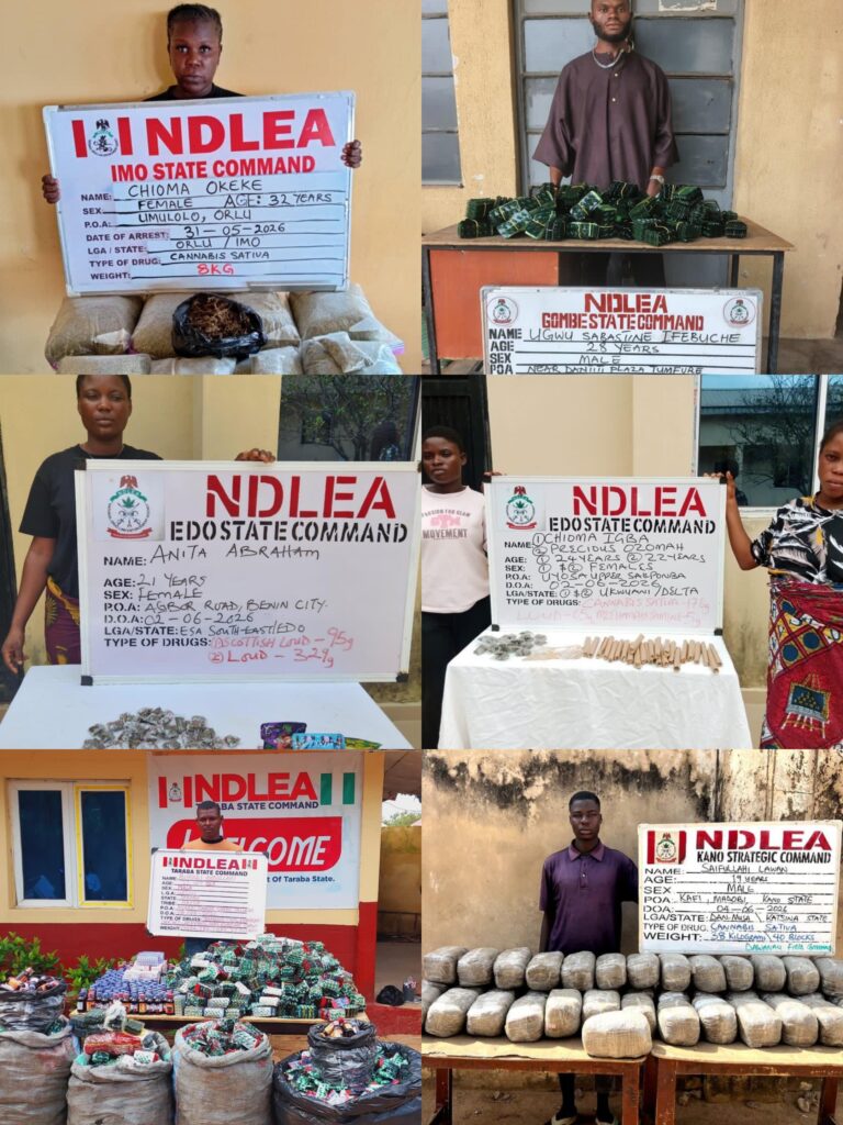 NDLEA Intercepts Massive Opioid Shipments in Taraba, Arrests 75-Year ...